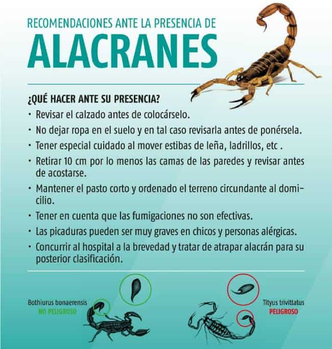 InfoBAN | Zárate brindó recomendaciones para evitar la aparición de ...